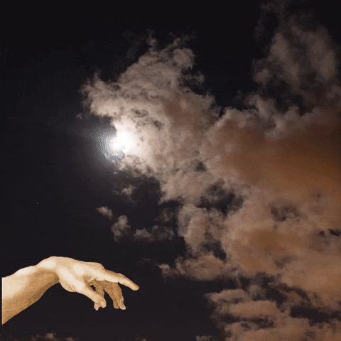 Control Nature GIFs - Get the best GIF on GIPHY