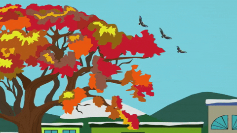 Blowing Leaves GIFs - Get the best GIF on GIPHY