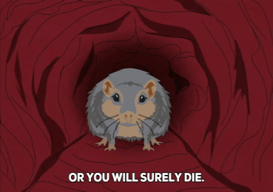 Scared Mouse GIF by South Park - Find & Share on GIPHY