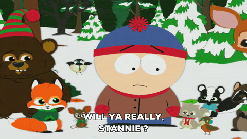 Stan Marsh Snow GIF by South Park - Find & Share on GIPHY