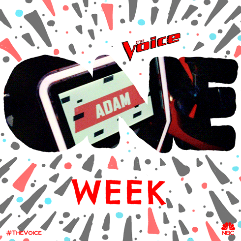 Adam Week GIFs - Get the best GIF on GIPHY