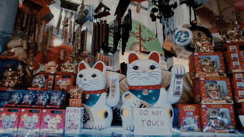 Do Not Touch GIFs - Get the best GIF on GIPHY