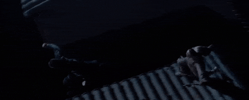 GIF by Crouching Tiger, Hidden Dragon - Find & Share on GIPHY