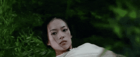GIF by Crouching Tiger, Hidden Dragon - Find & Share on GIPHY