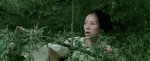 GIF by Crouching Tiger, Hidden Dragon - Find & Share on GIPHY