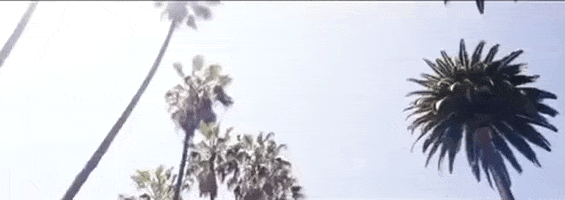 Recurring Echo GIFs - Get the best GIF on GIPHY