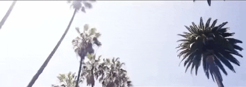 Echo-friendly GIFs - Get the best GIF on GIPHY