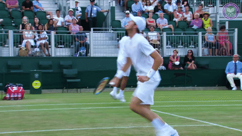 Tennis Ball Head Boop GIF by Wimbledon - Find & Share on GIPHY