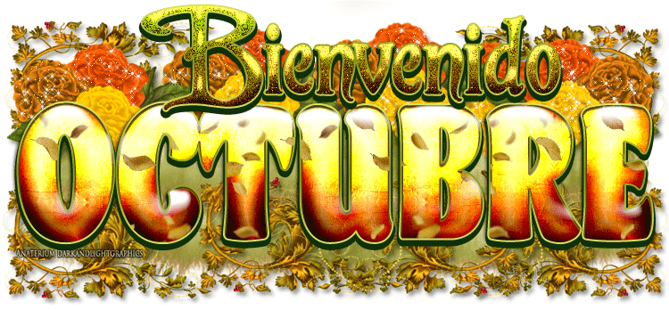 - Find & Share on GIPHY