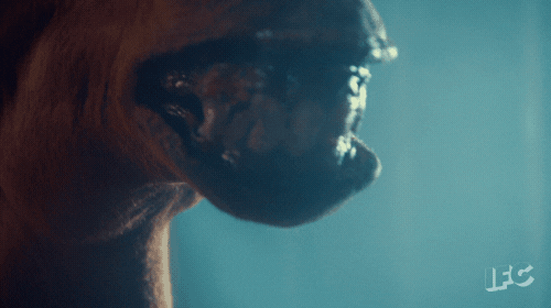 Comedic Horror GIFs - Get the best GIF on GIPHY