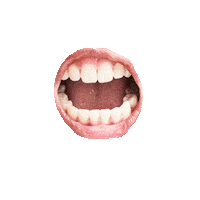 Moving Mouth Gif