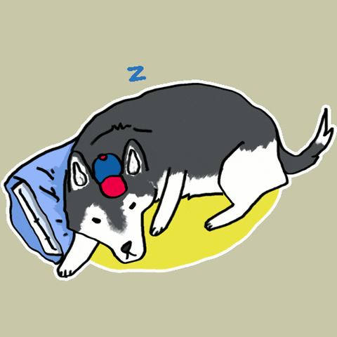 Tired Dog GIF by Jacub Allen - Find & Share on GIPHY