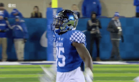 Sec Football Big Blue Nation GIF by SEC Network - Find & Share on GIPHY