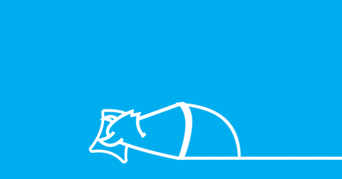 Ddos-od-xfast GIFs - Get the best GIF on GIPHY