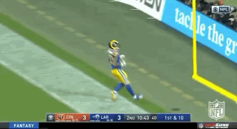Los Angeles Rams Football GIF by NFL - Find & Share on GIPHY