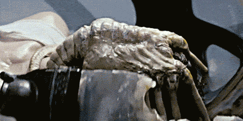 Alien Movie Stomach Gif