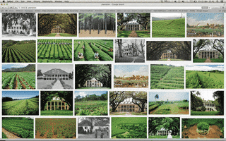 Google Images GIFs - Find & Share on GIPHY