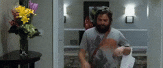 The Hangover GIFs - Find & Share on GIPHY