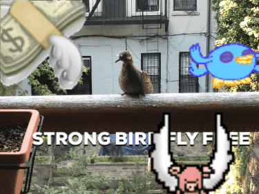 Grown-up-bird GIFs - Get the best GIF on GIPHY