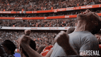 Funny Sports Fan Gifs