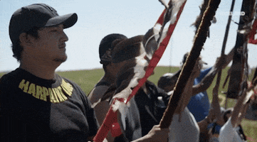 Standing Rock Indian Reservation GIFs - Find & Share on GIPHY