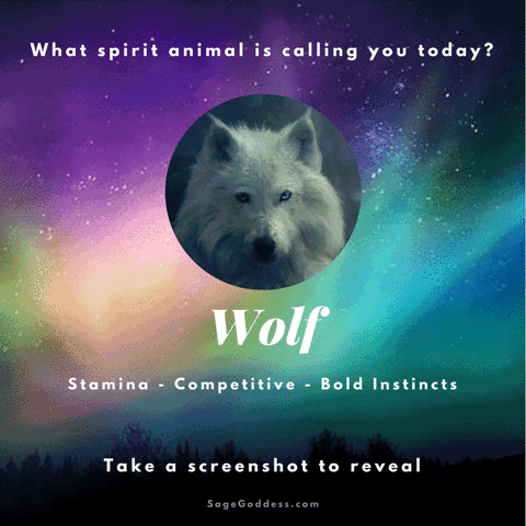 Wolf-spirit GIFs - Get the best GIF on GIPHY