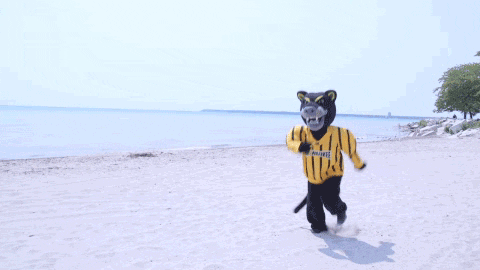 Beach Fail GIF by UW-Milwaukee - Find & Share on GIPHY