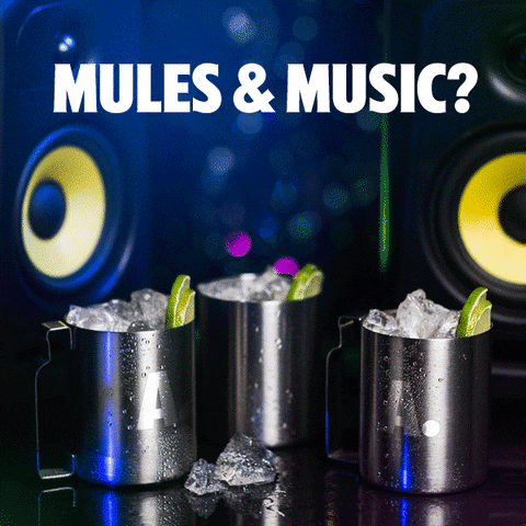 Mules And Music GIFs - Get the best GIF on GIPHY