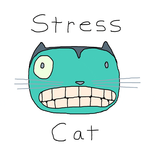 Stressed Out Kitty