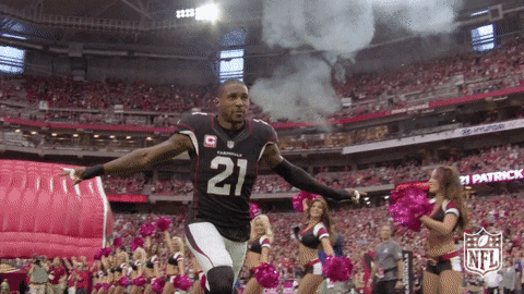 Arizona Cardinals Football GIF by NFL - Find & Share on GIPHY