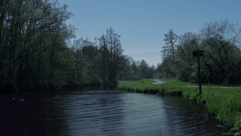 Water Perfect Loop GIF by Living Stills - Find & Share on GIPHY