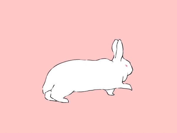 animation, cute, baby, white, bunny, photoshop, rabbit, alice, girly ...