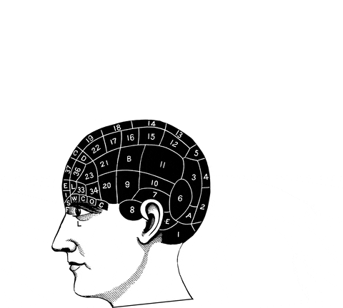 Infinite Growth GIFs - Get the best GIF on GIPHY