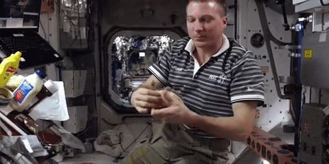 Life In Space GIF by NASA - Find & Share on GIPHY