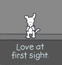 Love At First Sight Gif