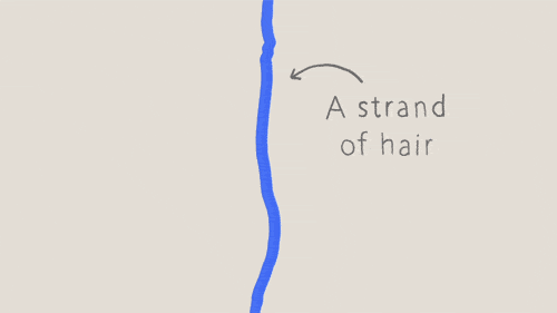 Hair Cell GIF by University of California - Find & Share on GIPHY