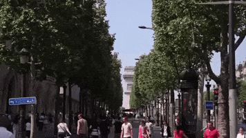 Paris GIFs - Find & Share on GIPHY