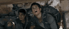 Maze Runner GIFs - Find & Share on GIPHY