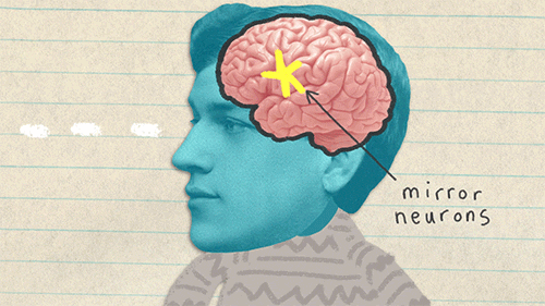 Uc Berkeley Pain GIF by University of California - Find & Share on GIPHY