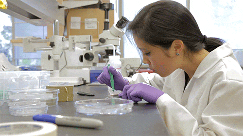 Health Medicine GIF by University of California - Find & Share on GIPHY