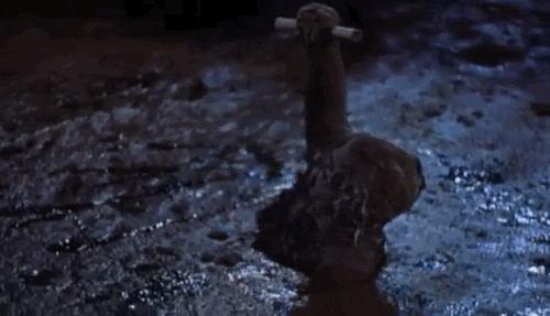 Classic Film Swamp GIF by Warner Archive - Find & Share on GIPHY