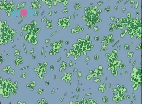 Archies Weird Mysteries The Incredible Shrinking Teens GIF by Archie ...