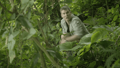 Poop Woods GIF by Wrecked - Find & Share on GIPHY