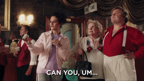 The Polka King Take A Picture GIF by NETFLIX - Find & Share on GIPHY