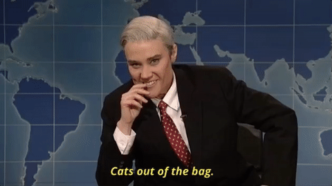 Cats Out GIFs - Get the best GIF on GIPHY