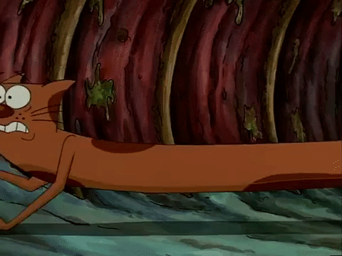 Send in the CatDog & Fishing for Trouble & Fetch GIFs on GIPHY - Be ...