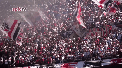 Spfc GIF by São Paulo FC - Find & Share on GIPHY