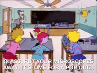 Pop Quiz Gif