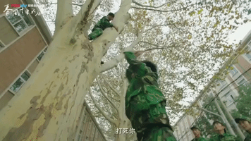 Hit By Bus GIFs - Find & Share on GIPHY