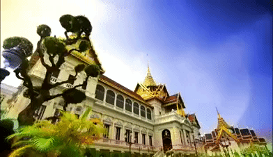 กลาง (Central) GIFs - Find & Share on GIPHY